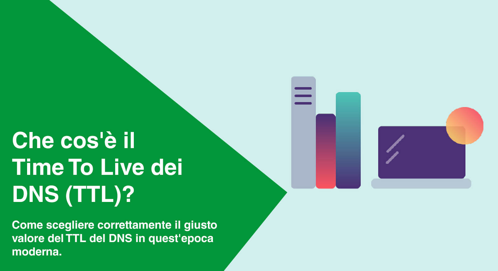 What is DNS Time To Live (TTL)? - Managed Server