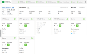 NGINX Vs NGINX Plus: why upgrade from Open Source to commercial version - 🏆 Managed Server