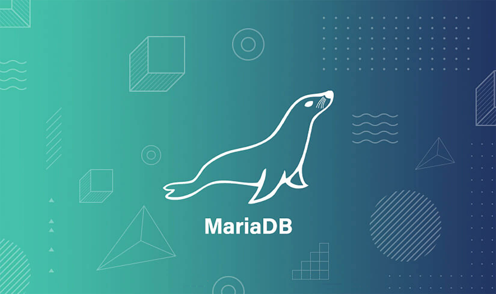 MariaDB Vector. MariaDB will soon be a vector database - Managed Server