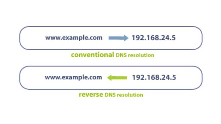 What is a PTR record and why is it essential in a mail server? - 🏆 Managed Server